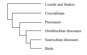 AP Biology Unit 7 Practice Test: Natural Selection