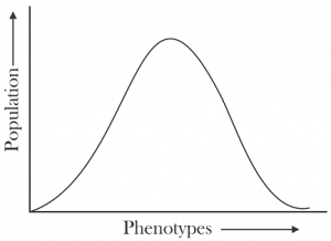 AP Biology Unit 7 Practice Test: Natural Selection